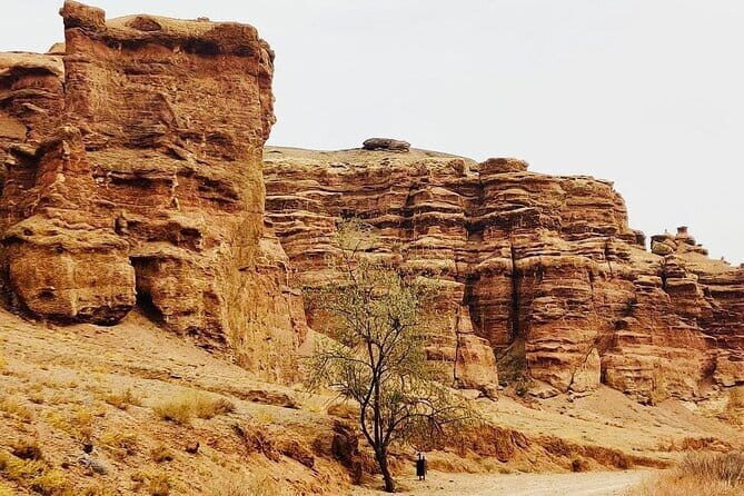 Private Tour to Charyn Canyons - What Travelers Say: The Good and the Caveats