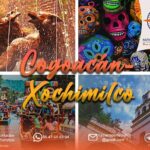 Private Tour to Coyoacán & Xochimilco. - Panoramic Views of Estadio Azteca