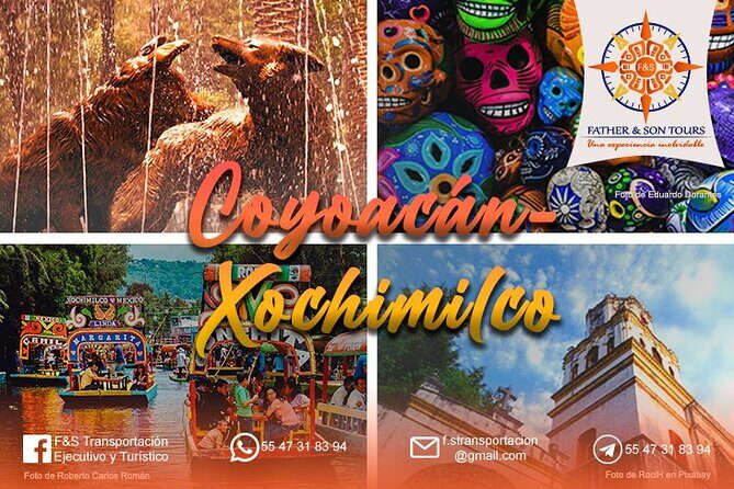 Private Tour to Coyoacán & Xochimilco. - Panoramic Views of Estadio Azteca