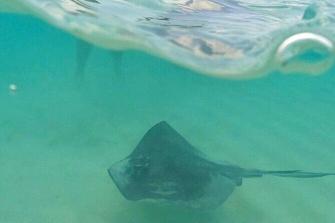 Private Tour to El Cielo and El Cielito and Palancar Cozumel - Why This Tour Provides Good Value