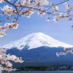 Private Tour to Mt Fuji and Hakone with English Driver - Optional Customizations and Extended Experiences
