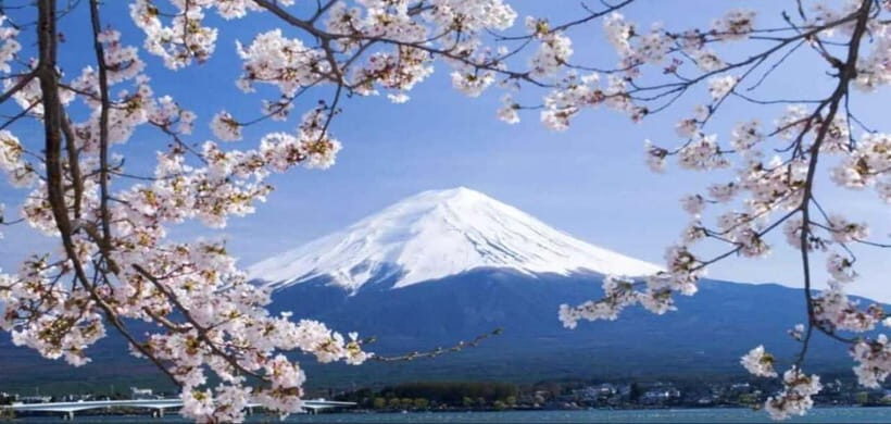 Private Tour to Mt Fuji and Hakone with English Driver - Optional Customizations and Extended Experiences