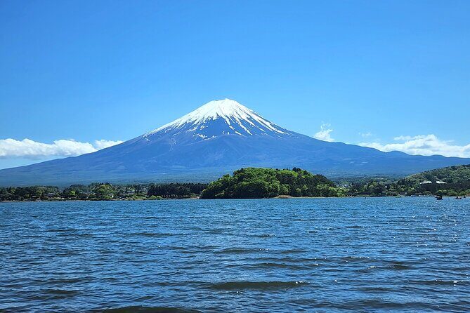 Private Tour to Mt Fuji, Lake Kawaguchi with Limousine and Driver - Transportation, Timing, and Overall Value