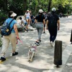 Private Tour to Santiago + Guide + Transfer - Transportation and Practicalities
