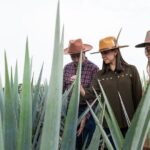 Private Tour to Tequila Ocho Distillery and the Town of Arandas - Who Would Love This Tour?