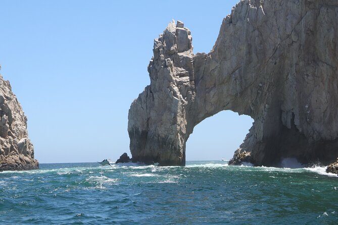 Private Tour to the Arch of Cabo San Lucas by Glass Bottom Boat - The Sum Up