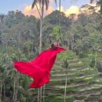 Private Tour Top Sights of Bali in One Day - Practicalities and Experience Quality