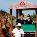 Private Tour: Uxmal & Hacienda Sotuta de Peon by Yucatan Concierge - Who Will Appreciate This Tour?