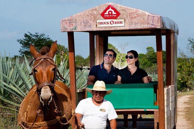 Private Tour: Uxmal & Hacienda Sotuta de Peon by Yucatan Concierge - Who Will Appreciate This Tour?