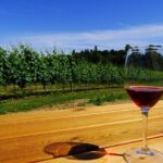 Private Tour: Vancouver Half Day Wine Tasting Tour - Practical Details & Logistics