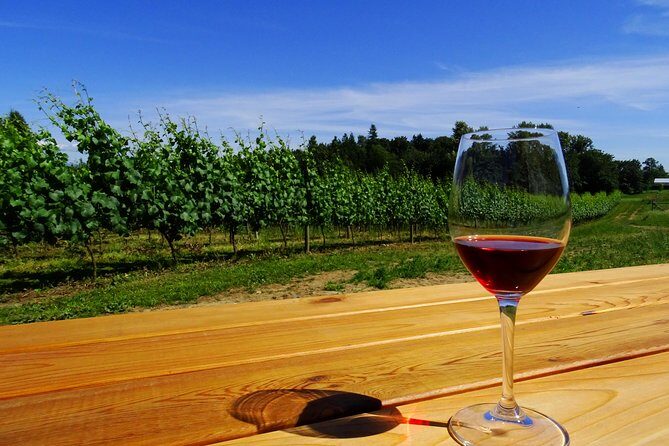 Private Tour: Vancouver Half Day Wine Tasting Tour - Practical Details & Logistics