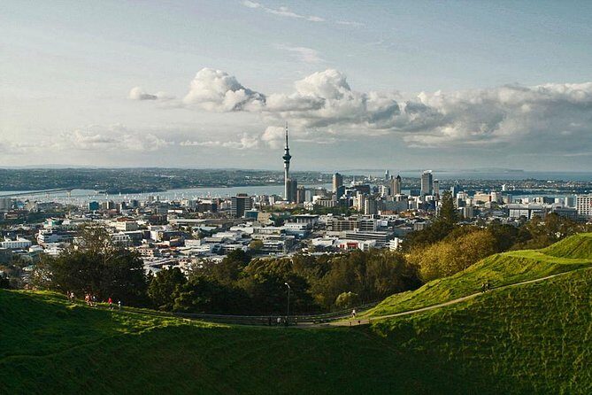 Private Tour: Waitomo Caves Day Trip from Auckland - An In-Depth Look at the Waitomo Caves Private Tour