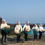 Private Tour Woman Diver Performance & stone park in Jeju Island - Who Should Consider This Tour?