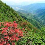 Private Tour: Yao Mountain and Tea Plantation from Guilin - Practical Details & Logistics
