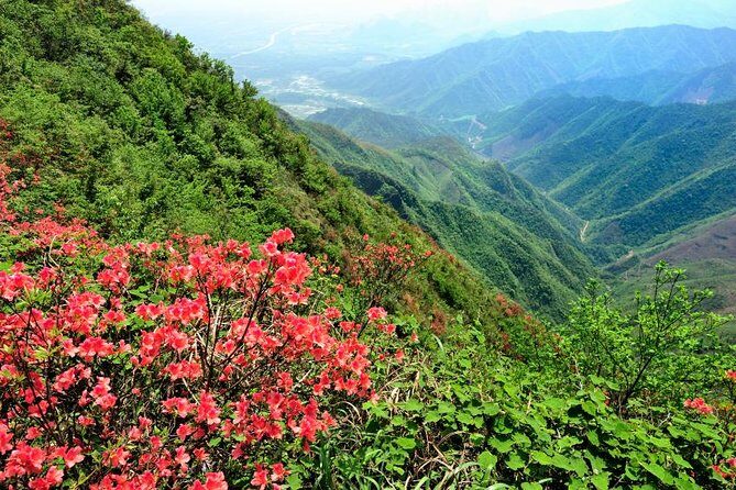 Private Tour: Yao Mountain and Tea Plantation from Guilin - Practical Details & Logistics