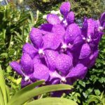 Private Tours - What Does the Tour Include?