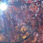 Private Tours (Group of 5-7) - Who Should Consider This Tour?