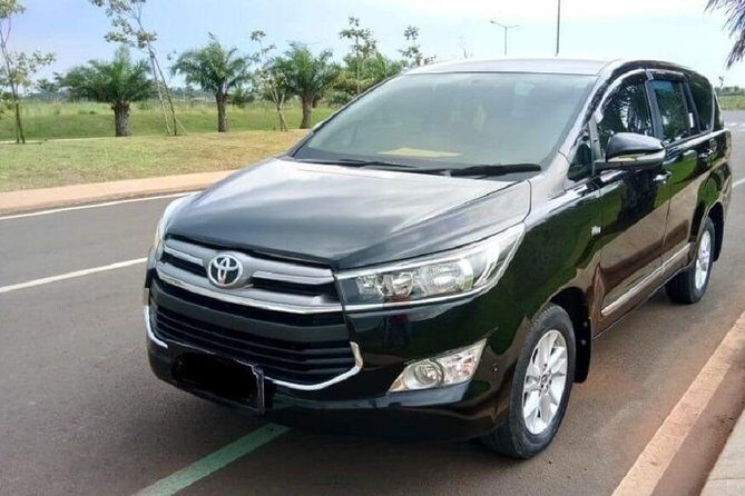 Private Tour:Your Program Highlight Tour with 10 Hours usage Bali Driver - Stop 3: Bedugul Market