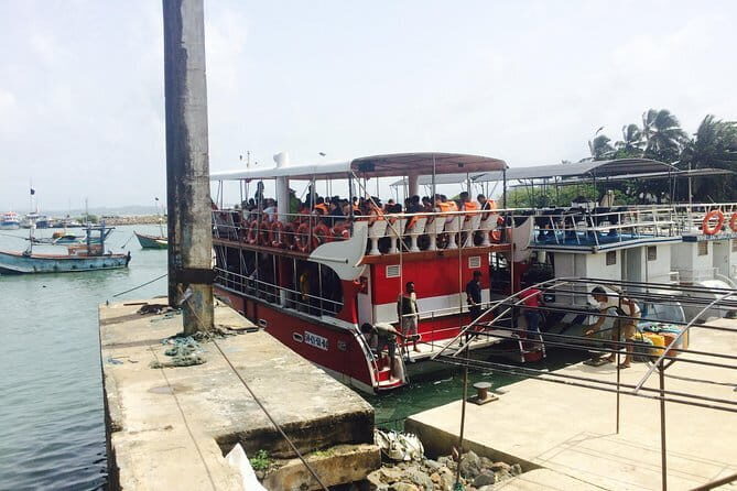 Private Transfer and Whale Watching Tour from Hikkaduwa and Galle - Why This Tour Matters to You
