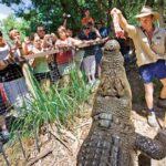 PRIVATE TRANSFER Cairns Airport  Port Douglas Minibus (6am-5pm) - The Route and What You’ll See