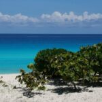 Private Transfer-Cancun Airport-Playa del Carmen One Way - The Itinerary in Detail