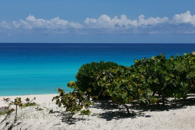 Private Transfer-Cancun Airport-Playa del Carmen One Way - The Itinerary in Detail