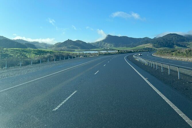 Private Transfer From Auckland Airport To Hamilton - The Itinerary Breakdown
