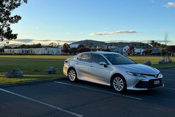 Private Transfer From Auckland Airport To Morrinsville - How the Meeting and Pickup Work