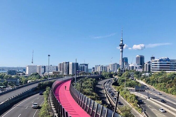 Private Transfer From Auckland City To Auckland Airport - The Itinerary Breakdown