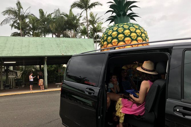 Private Transfer from Brisbane Airport to Noosa for 1 to 7 people/5 medium lugg - What’s Included and What to Expect