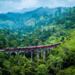 Private Transfer from Habaraduwa to Mattala Sri Lanka (HRI) Airport - Why This Transfer Stands Out