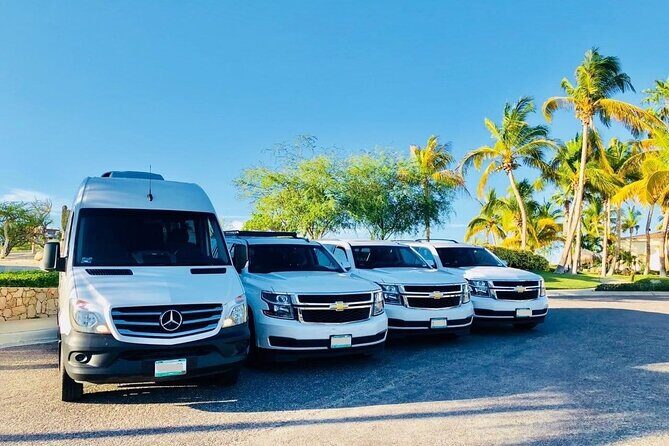 Private Transfer from Launceston city hotels to Port Arthur Port - What makes this a valued option?