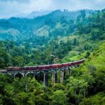 Private Transfer from Mattala Sri Lanka (HRI) Airport to Ambalangoda - Starting Your Journey: The Arrival Experience