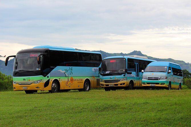 Private Transfer from Nadi Airport to Pacific Harbour hotels - Why Travelers Love This Service