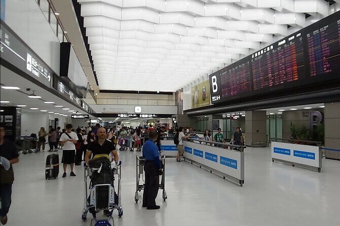 Private Transfer from Narita Airport to Ibaraki City Japan - The Vehicle Experience and Amenities
