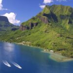 Private Transfer : Hotel to Moorea Airport (or) Pier - The Value and Cost Breakdown