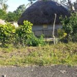 Private Transfer -Nadi Airport to Hideaway/Naviti/Warwick Hotels - What to Expect from Your Transfer