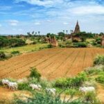 Private Transfer Of Mandalay To Bagan - What to Expect from Your Mandalay to Bagan Private Transfer