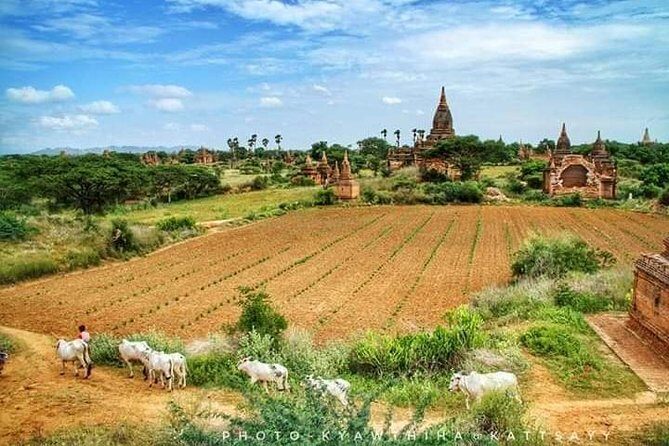 Private Transfer Of Mandalay To Bagan - What to Expect from Your Mandalay to Bagan Private Transfer