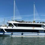 Private Transfer on Expressway & Luxury Cruise 07 Hours on Bay - Who Should Consider This Tour?