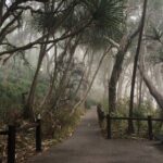 Private Transfer to or from Sunshine Coast Airport (MCY) - The Setup: What You Can Expect from This Private Transfer