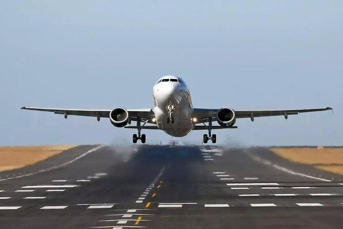 Private Transfer to Pudong or Hongqiao Airport from Shanghai Cruise Port - The Vehicle and Comfort