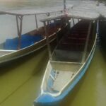 Private Transfer to Taman Negara from Kuala Lumpur - Genuine Value and Traveler Insights