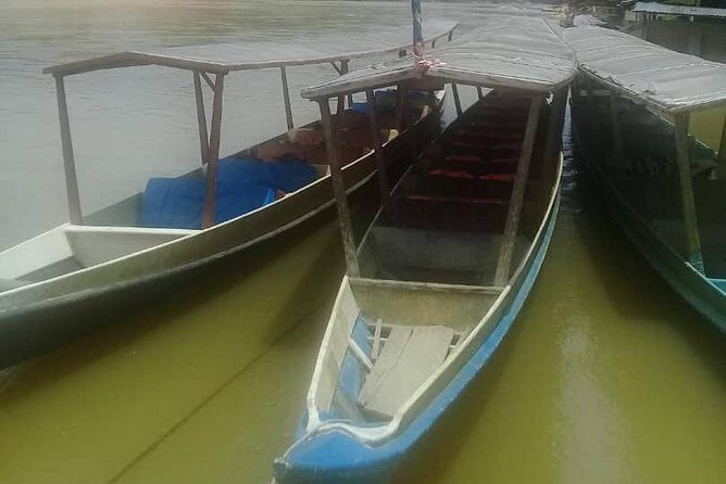 Private Transfer to Taman Negara from Kuala Lumpur - Genuine Value and Traveler Insights