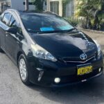Private Transfer:Nadi Airport to Fiji Marriott Momi Bay - The Sum Up: Who Should Consider This Transfer?