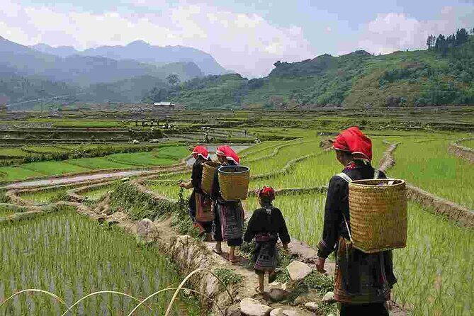 PRIVATE Trekking Sapa Tour 2 Days 1 Night ( Homestay Overnight) - Final Thoughts