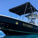 Private Trip Espiritu Santo Island - The Sum Up: Who Should Book This Private Tour?