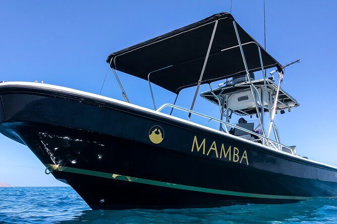 Private Trip Espiritu Santo Island - The Sum Up: Who Should Book This Private Tour?