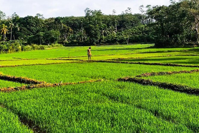 Private Tuk-Tuk Village Tour - From Bentota Hotels - Authentic Encounters and Practical Tips