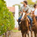 Private Tuscany Day Tour: Siena and Chianti Wine Region from Florence - Who Would Love This Tour?